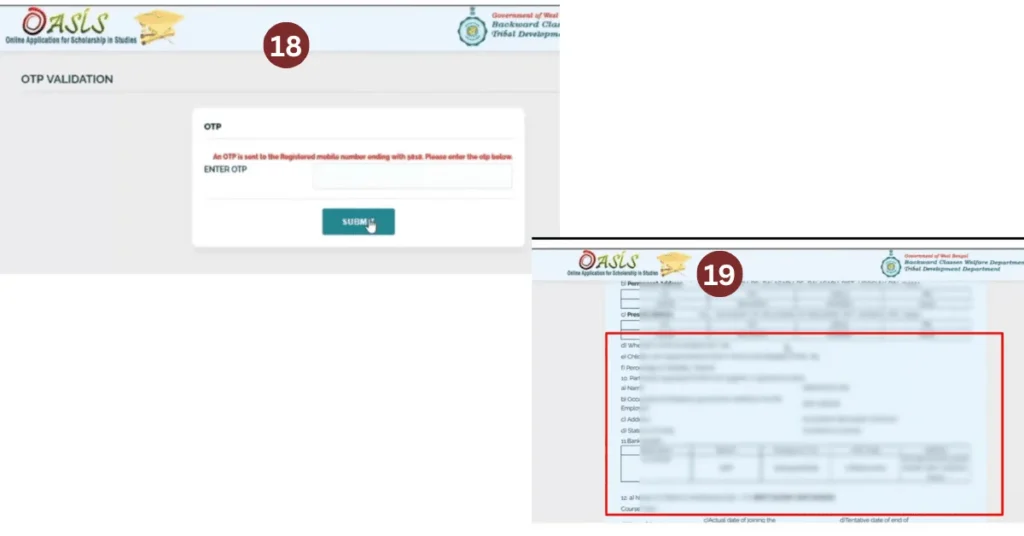 Oasis Scholarship 2025